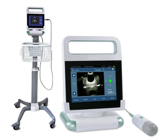 Urinary Elimination NCLEX Review | Medcrine